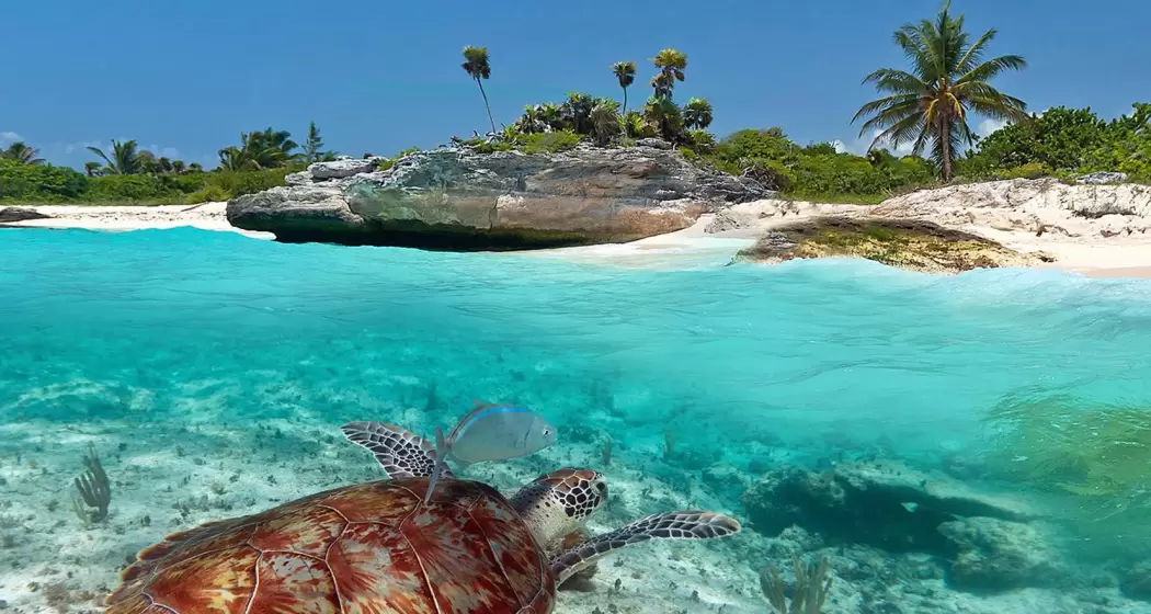Playa Xcacel-Xcacelito en Tulum | guiaturista.com.mx - Guía Turista Mexico